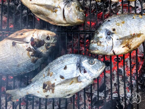 Dorade grillen, ganz einfach mit unseren Tipps & Tricks – Cook & Soul