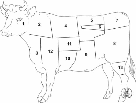 Muskelfleisch, Fettanteil, Bindegwebe und Kollagen – Cook & Soul