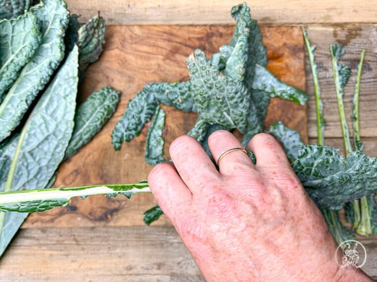 Schwarzkohl ganz einfach zubereiten mit unseren Grundlagen – Cook & Soul