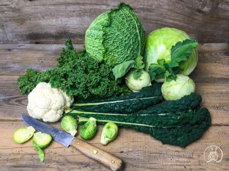 Kohl Rezepte mit Schwarzkohl, Spitzkohl, Wirsing, Blumenkohl & co ...