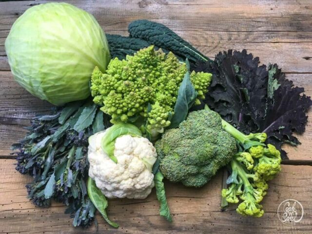 Jetzt ist Kohl Saison: Einkauf, Lagerung & Zubereitung – Cook & Soul
