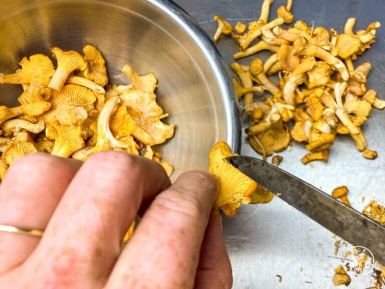Pfifferlinge putzen: die besten Methoden mit und ohne Wasser – Cook & Soul