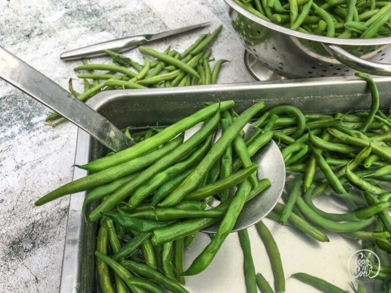 Grüne Bohnen: Zubereitung, Rezepte, Tipps & Tricks – Cook & Soul