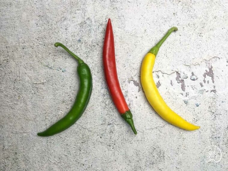 Peperoni gehören, ebenso wie die Chili, zu den Paprikagewächsen ...