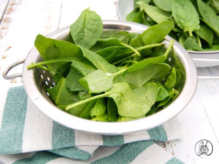 Spinat, gesunder und kalorienarmer Allrounder, Rezepte, Tipps & Tricks ...
